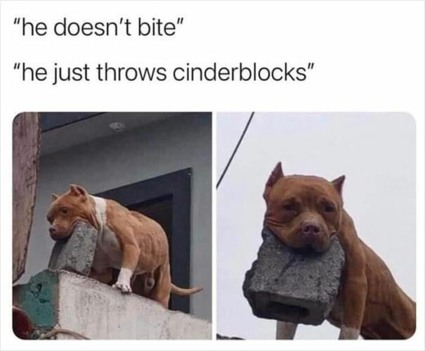 30 Funny Jokes You Might Love If You Have A Twisted Sense Of Humor ...