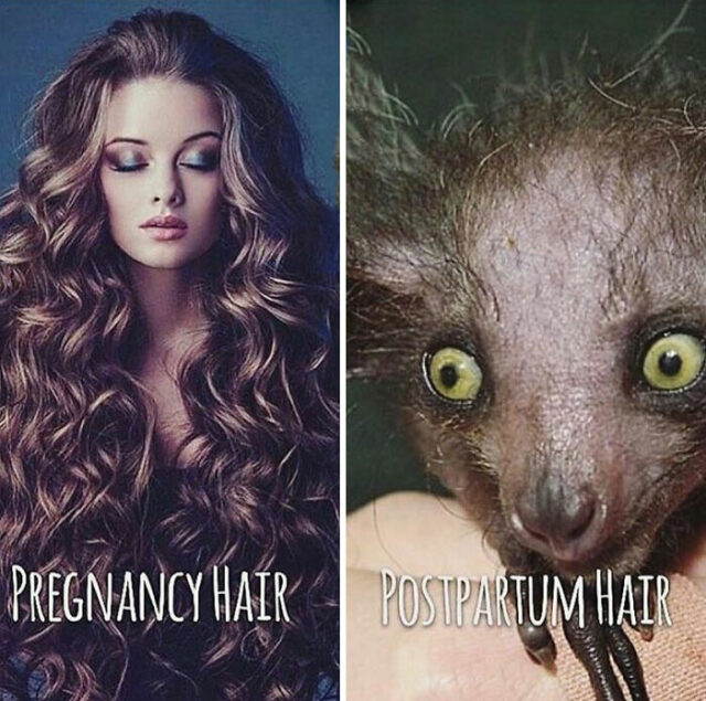 30 Hilarious Memes That Sum Up Pregnancy And The Life Of Parents | DeMilked