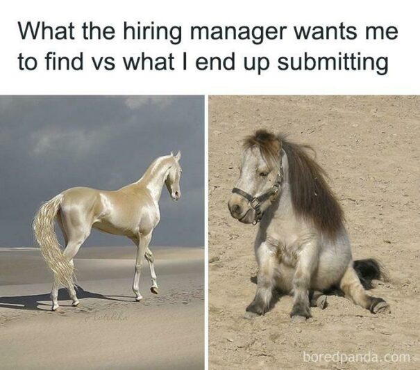 25 Of The Funniest Recruitment Memes Shared On This Insta Page | DeMilked