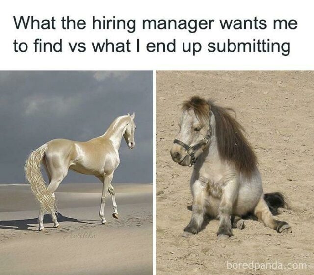 25 Of The Funniest Recruitment Memes Shared On This Insta Page | DeMilked
