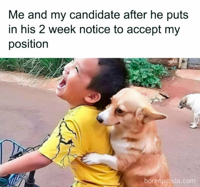 25 Of The Funniest Recruitment Memes Shared On This Insta Page | DeMilked