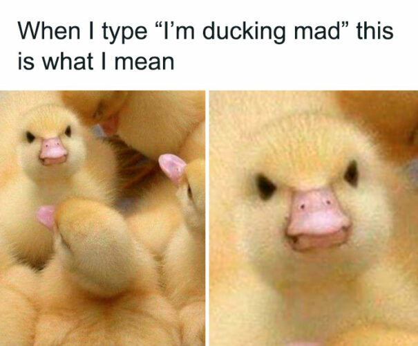 35 Funny And Relatable Memes Posted On The Instagram Page "Introverts ...