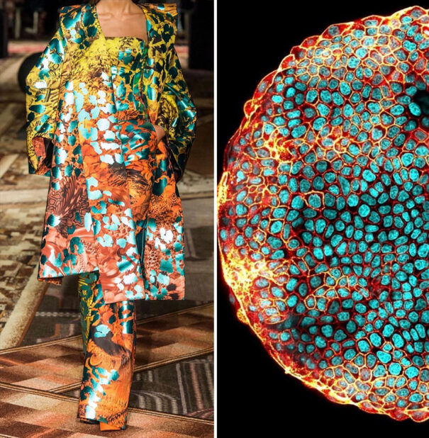 25 Times This Instagram Account Shared A Visual Feast Of Parallels ...