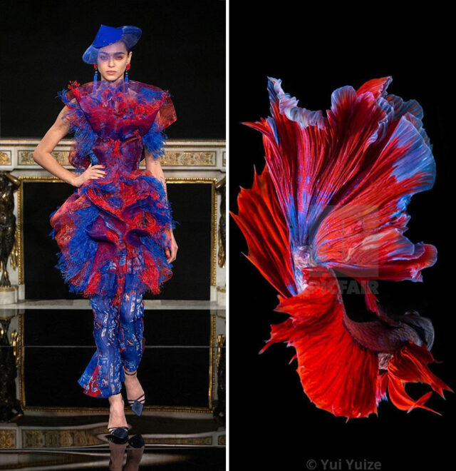 25 Times This Instagram Account Shared A Visual Feast Of Parallels ...