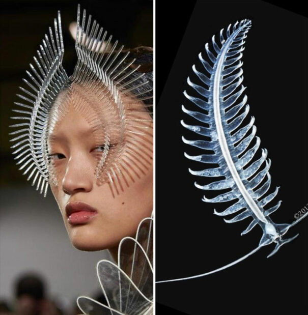 25 Times This Instagram Account Shared A Visual Feast Of Parallels ...