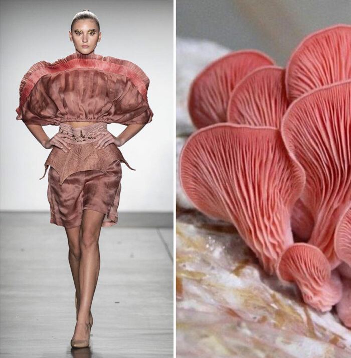 25 Times This Instagram Account Shared A Visual Feast Of Parallels ...