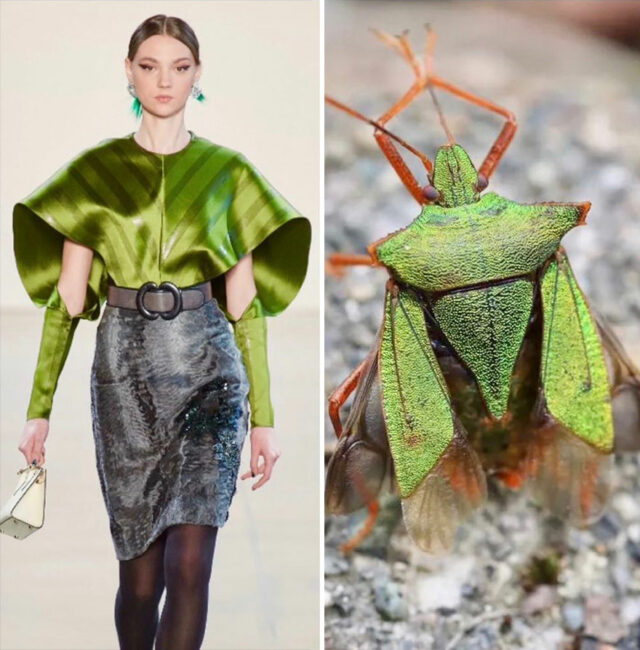 25 Times This Instagram Account Shared A Visual Feast Of Parallels ...