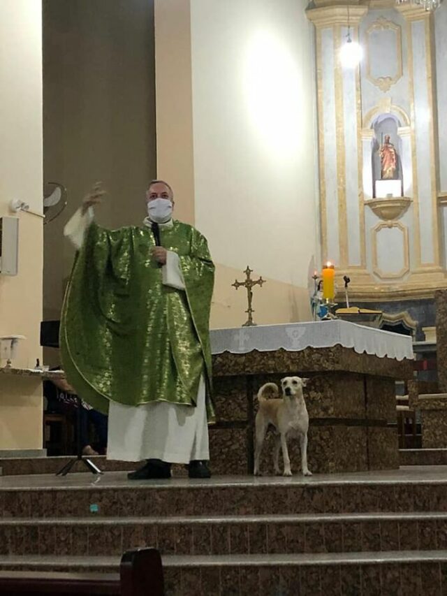 15 Wholesome Pics Of A Brazilian Priest Who Encourages Animal Adoption ...