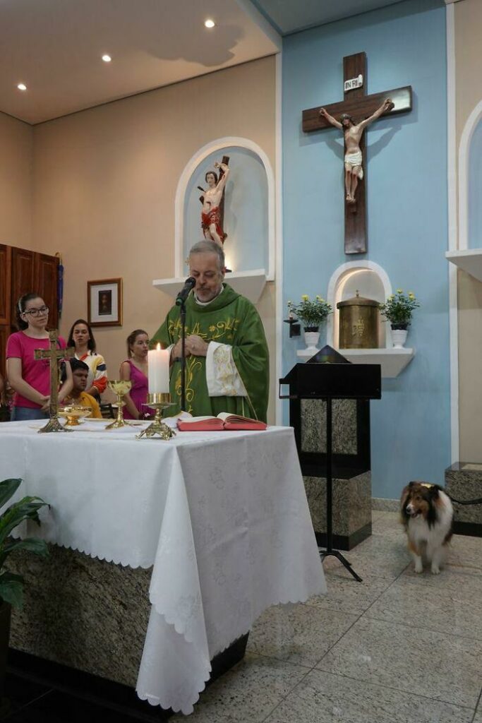 15 Wholesome Pics Of A Brazilian Priest Who Encourages Animal Adoption ...