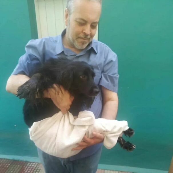 15 Wholesome Pics Of A Brazilian Priest Who Encourages Animal Adoption ...