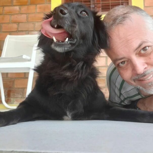 15 Wholesome Pics Of A Brazilian Priest Who Encourages Animal Adoption ...