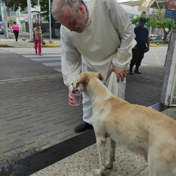 15 Wholesome Pics Of A Brazilian Priest Who Encourages Animal Adoption ...