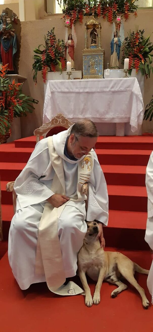 15 Wholesome Pics Of A Brazilian Priest Who Encourages Animal Adoption ...