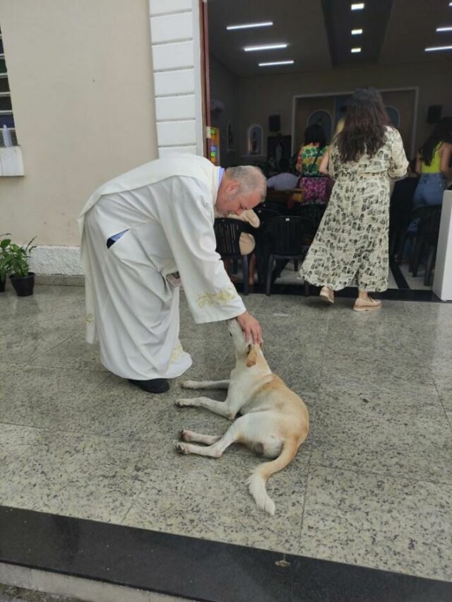 15 Wholesome Pics Of A Brazilian Priest Who Encourages Animal Adoption ...