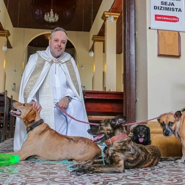 15 Wholesome Pics Of A Brazilian Priest Who Encourages Animal Adoption ...