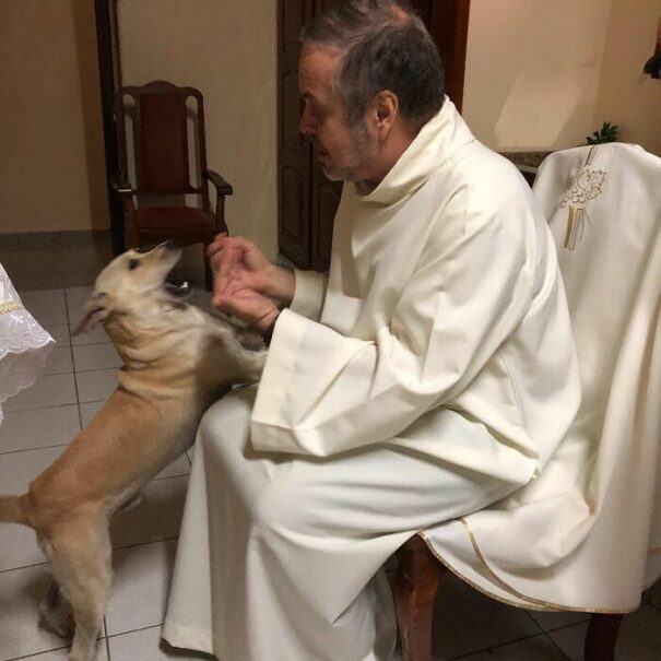 15 Wholesome Pics Of A Brazilian Priest Who Encourages Animal Adoption ...