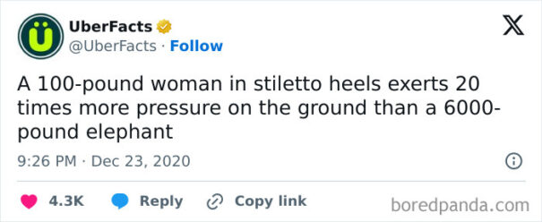 25 Funny Calculations That Are Interesting Yet Useless | DeMilked