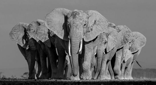 35 Breathtaking Photos Spotlighting The Outstanding Winners Of One ...