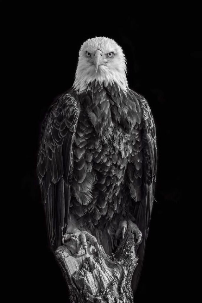 35 Breathtaking Photos Spotlighting The Outstanding Winners Of One ...