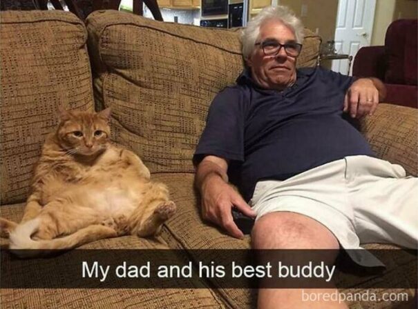 30 Funny Animal Pics Turned Into Relatable Memes | DeMilked