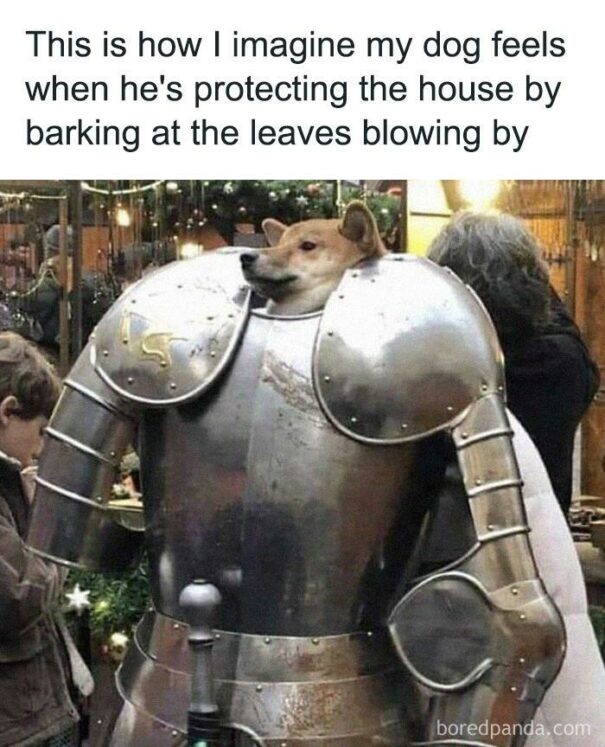 30 Funny Animal Pics Turned Into Relatable Memes | DeMilked