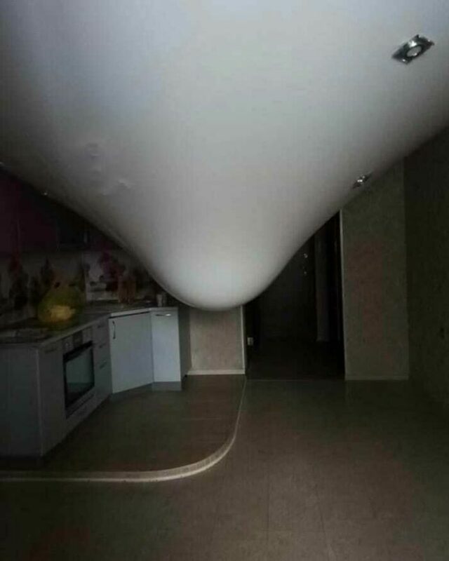 30 'Cursed Images' Without Context That Might Make You Question Things ...