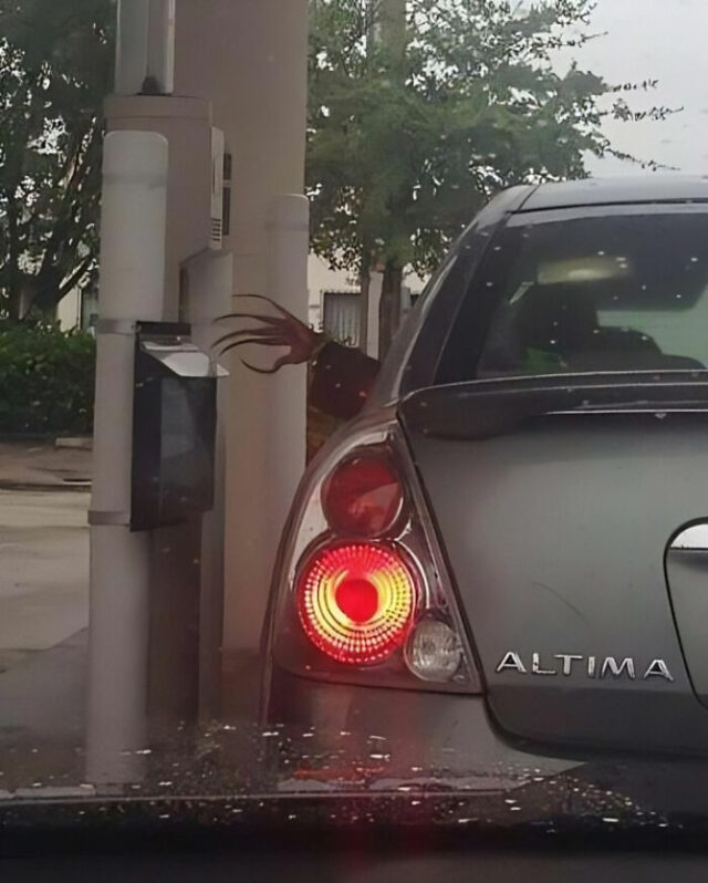 30 'Cursed Images' Without Context That Might Make You Question Things ...