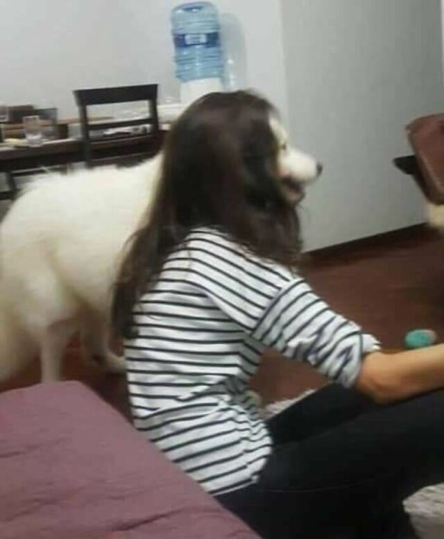 30 'Cursed Images' Without Context That Might Make You Question Things ...