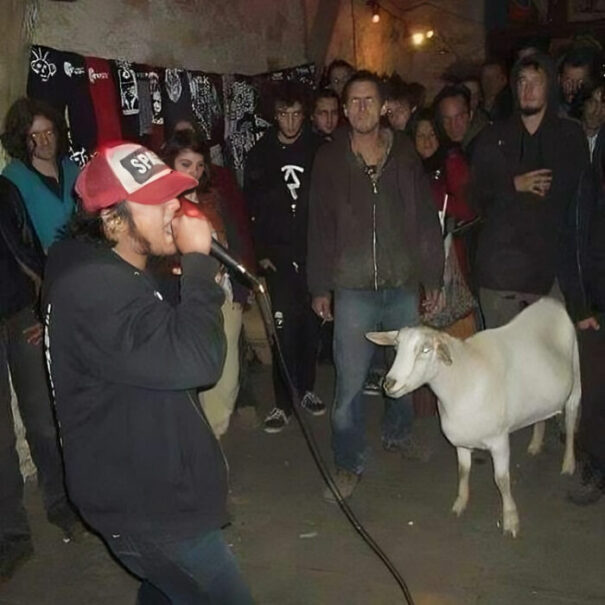 30 'Cursed Images' Without Context That Might Make You Question Things ...