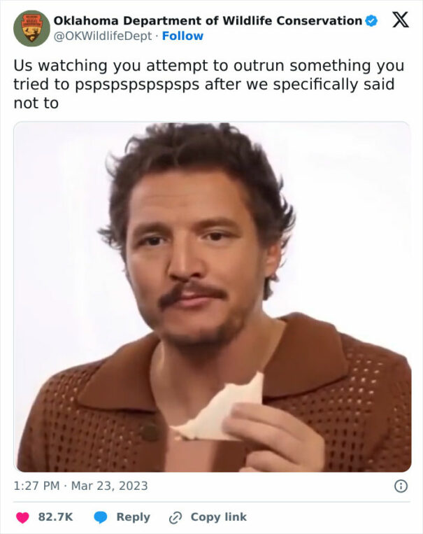 30 Hilarious Memes That Nailed The Essence Of 2023 | DeMilked