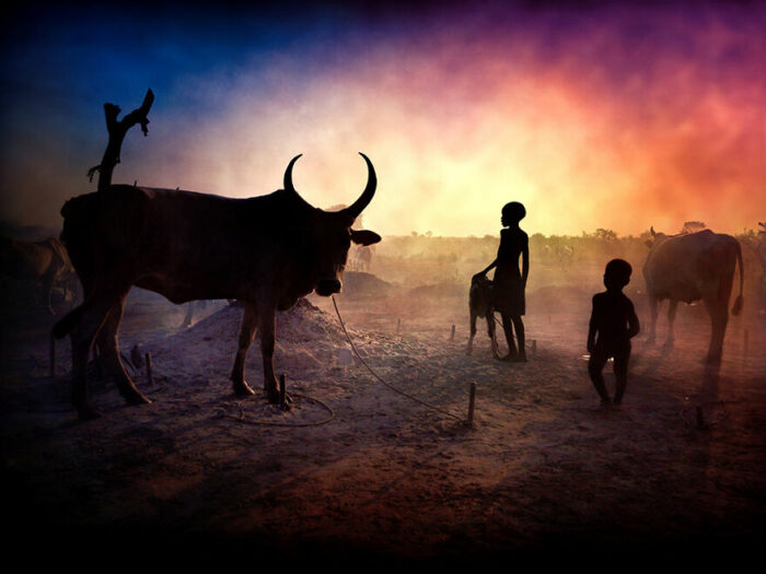 Top 25 Photos Crowned In Prestigious Annual Mobile Photo Awards ...