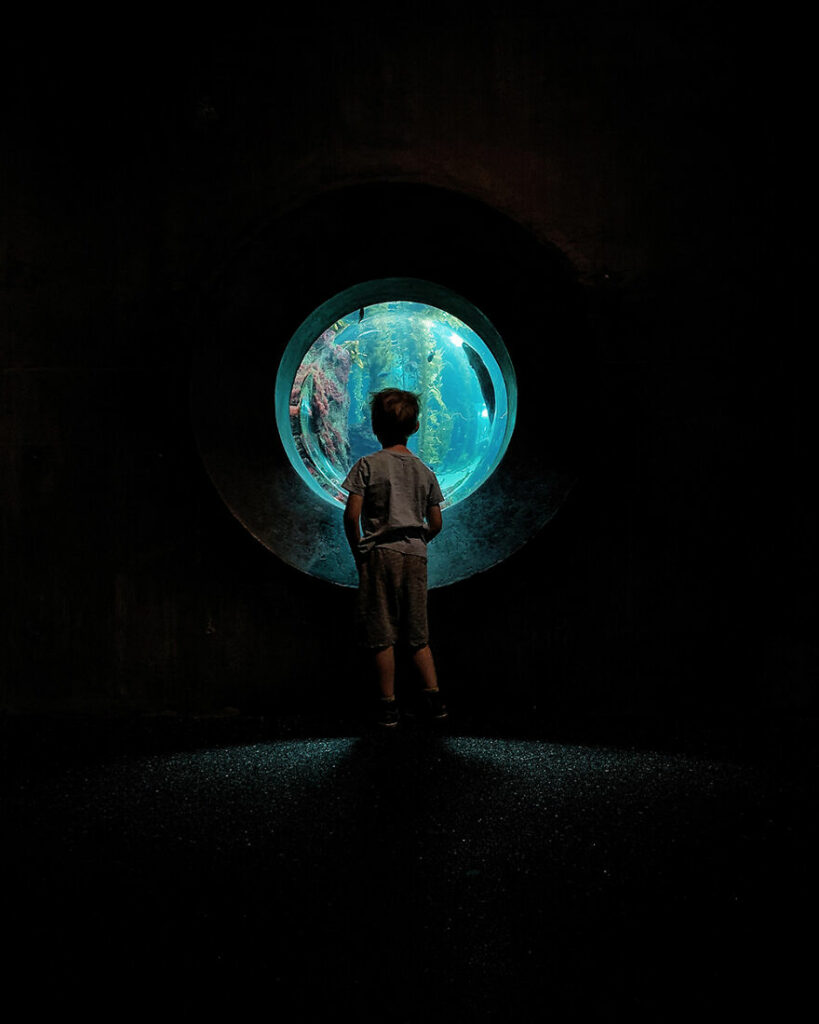Top 25 Photos Crowned In Prestigious Annual Mobile Photo Awards ...