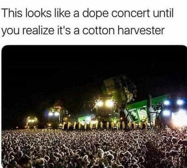 40 ‘Brainy Memes’ That Are Too Clever And Relatable | DeMilked