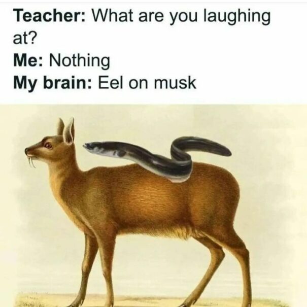 40 ‘Brainy Memes’ That Are Too Clever And Relatable | DeMilked