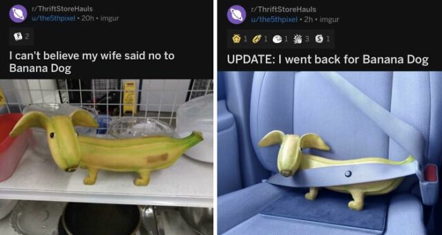 25 Real-Life ‘Character Arcs’ That Were Perfectly Screenshot | DeMilked