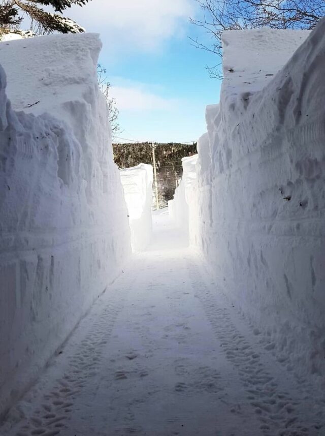 35 Of The Most Interesting Pics Captured In The Freezing Winter | DeMilked