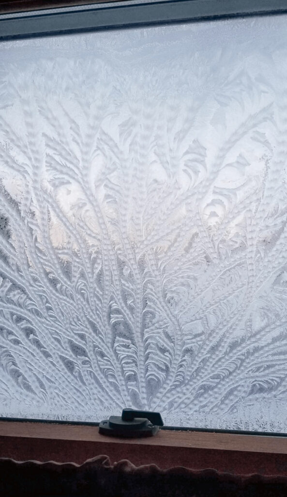 35 Of The Most Interesting Pics Captured In The Freezing Winter | DeMilked