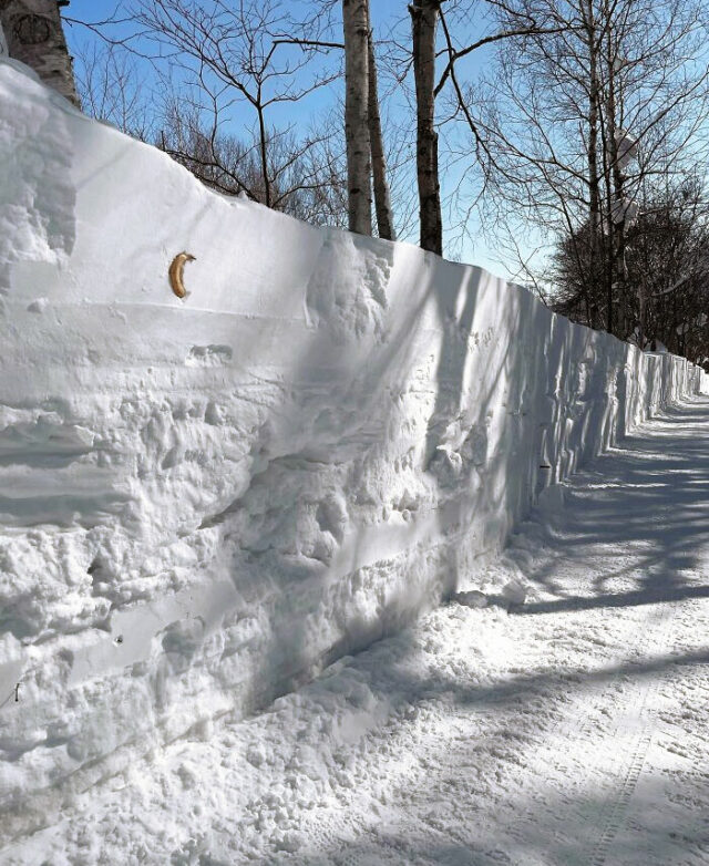 35 Of The Most Interesting Pics Captured In The Freezing Winter | DeMilked