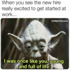 35 Memes That Will Pick Up Your Mood If You’re Stuck In A Work Daze ...