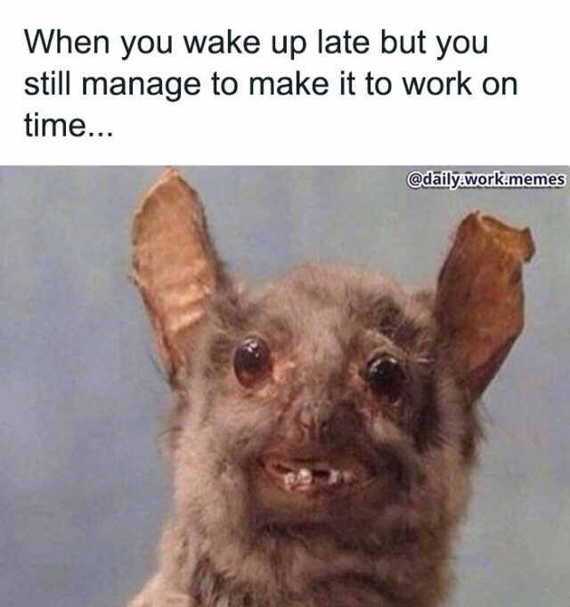 35 Memes That Will Pick Up Your Mood If You’re Stuck In A Work Daze ...