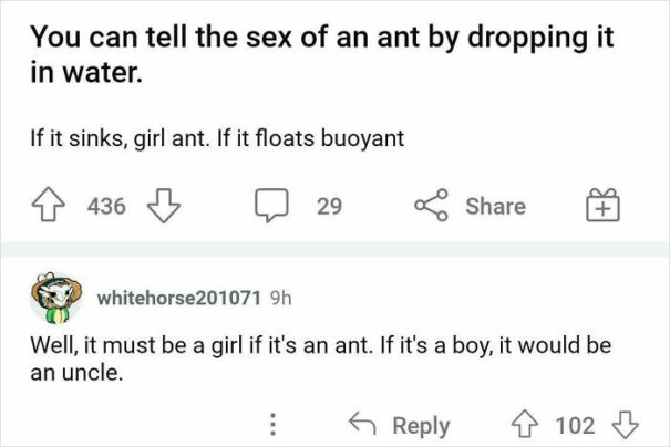 30 Of The Funniest Posts From ‘Your Joke But Better’ Online Group ...