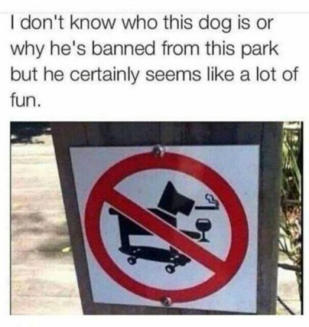 40 Unusual Yet Amusing Pics Shared On The ‘Funny Pics’ Community | DeMilked