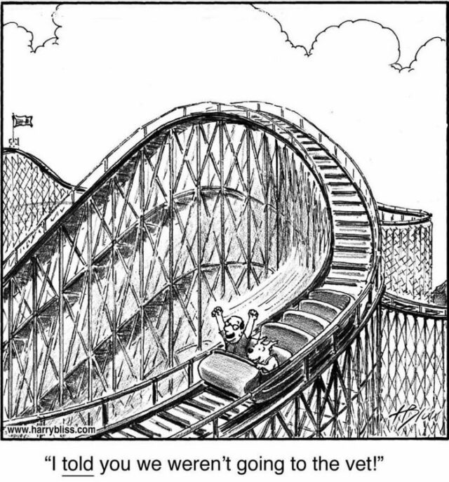 30 Whimsical One-Panel Comics By Harry Bliss | DeMilked