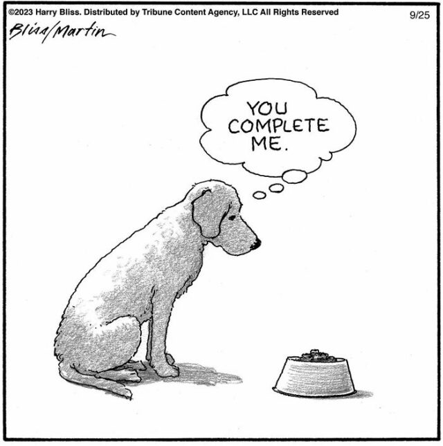 30 Whimsical One-Panel Comics By Harry Bliss | DeMilked