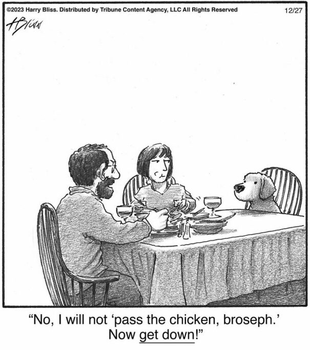 30 Whimsical One-Panel Comics By Harry Bliss | DeMilked