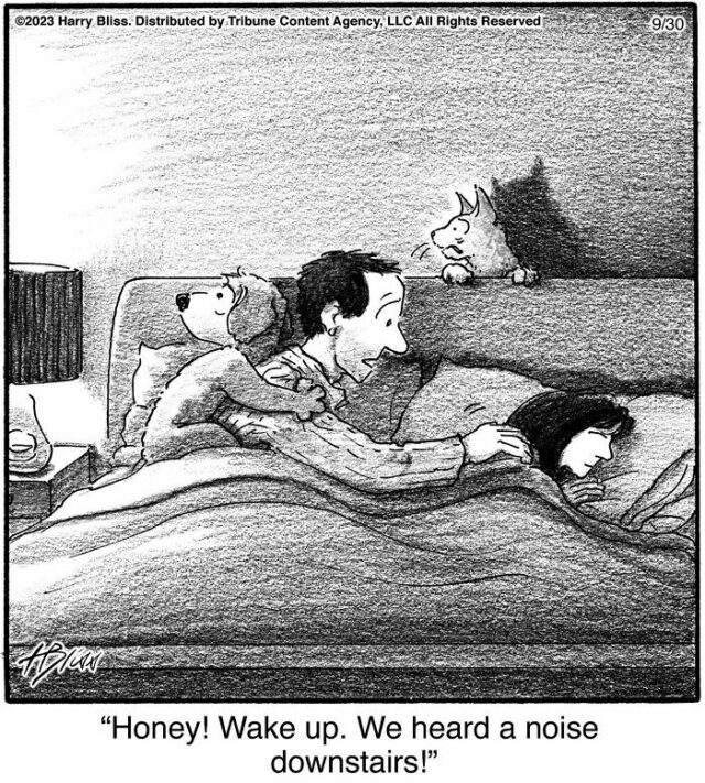 30 Whimsical One-Panel Comics By Harry Bliss | DeMilked