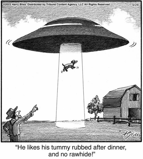30 Whimsical One-Panel Comics By Harry Bliss | DeMilked