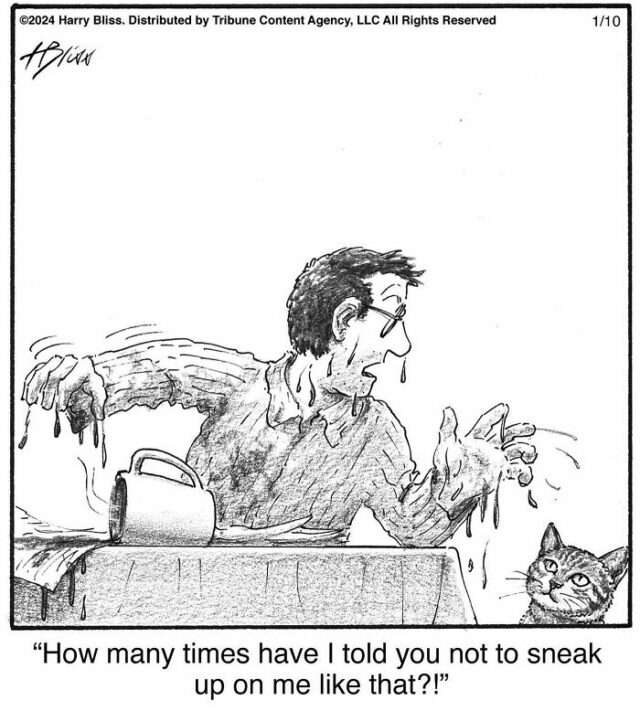 30 Whimsical One-Panel Comics By Harry Bliss | DeMilked