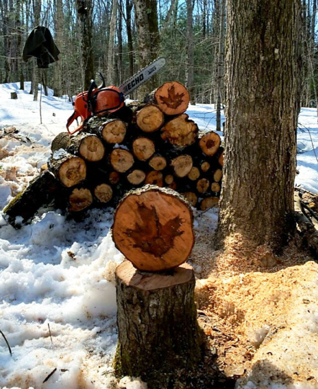 35 Times Photos Proved That Canada Is An Interesting And Unique Country ...