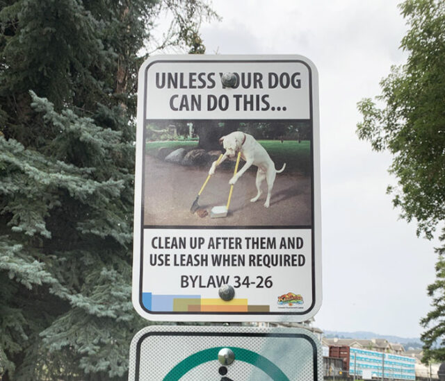 35 Times Photos Proved That Canada Is An Interesting And Unique Country ...